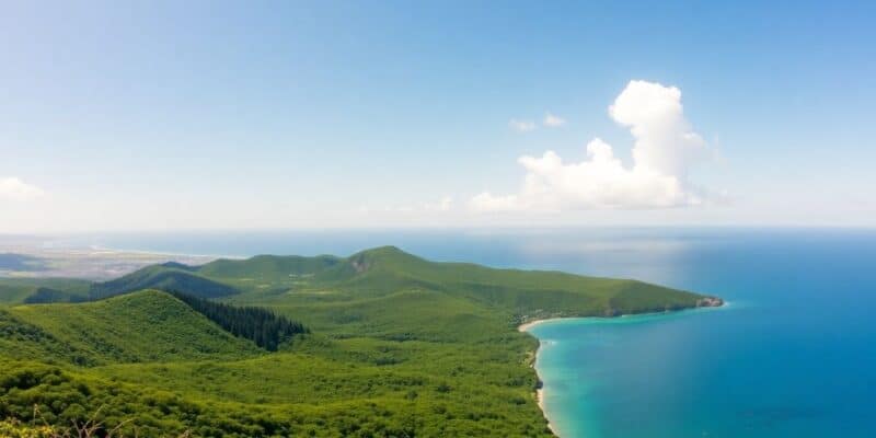 Exploring Tantalus Lookout: A Guide to Puu Ualakaa State Park's ...
