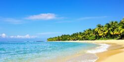 Your Essential Oahu Tourist Map PDF for Exploring Paradise » Green ...
